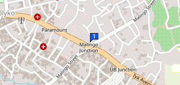 TELNET CAMEROON, Malingo Street, Buea, phone +237 6 74 41 03 58
